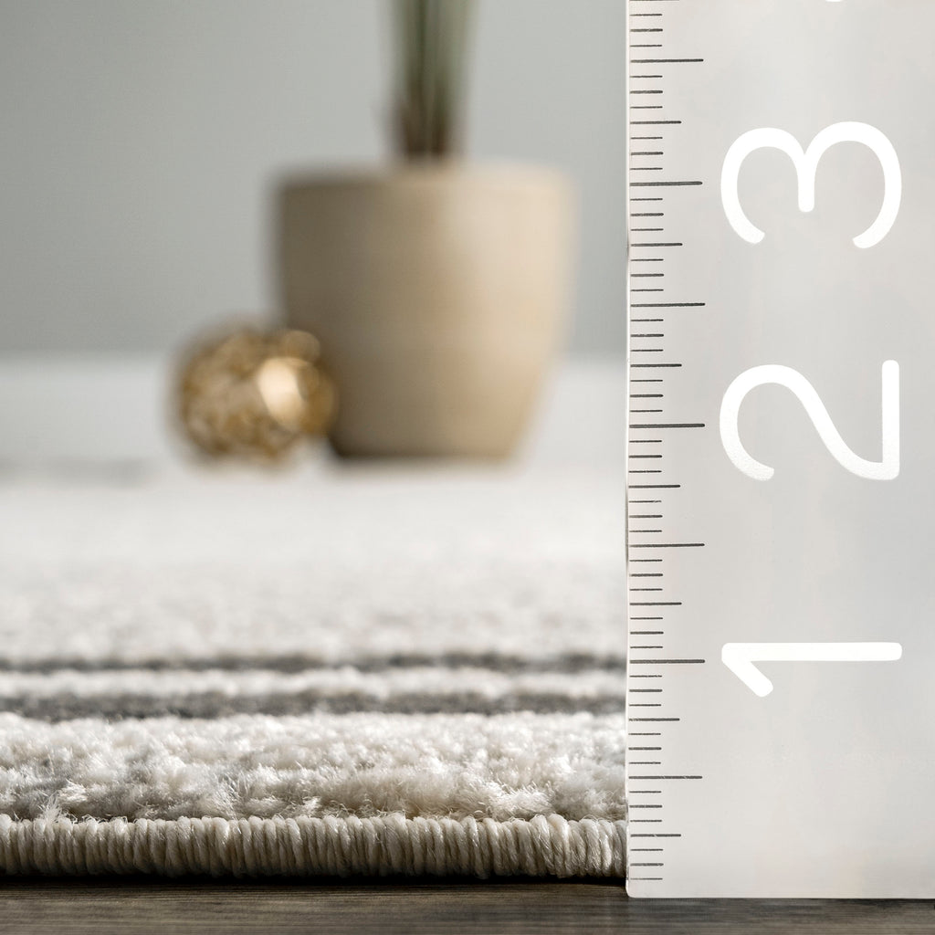 Imani Classic Border Rug – Modern Rustic Home