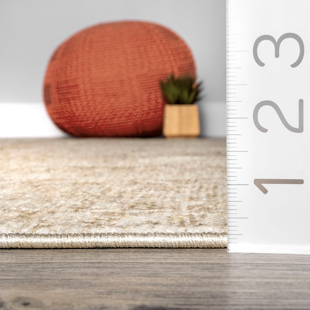 Laney Castle Medallion Rug – Modern Rustic Home